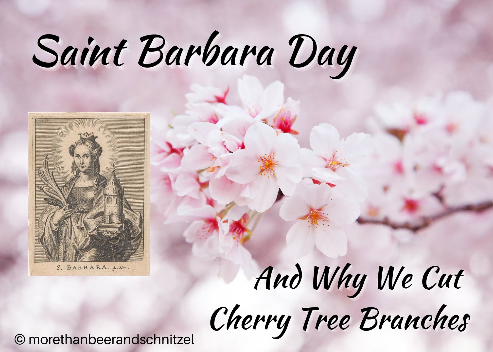 Saint Barbara Day - And Why We Cut Cherry Tree Branches - More than ...